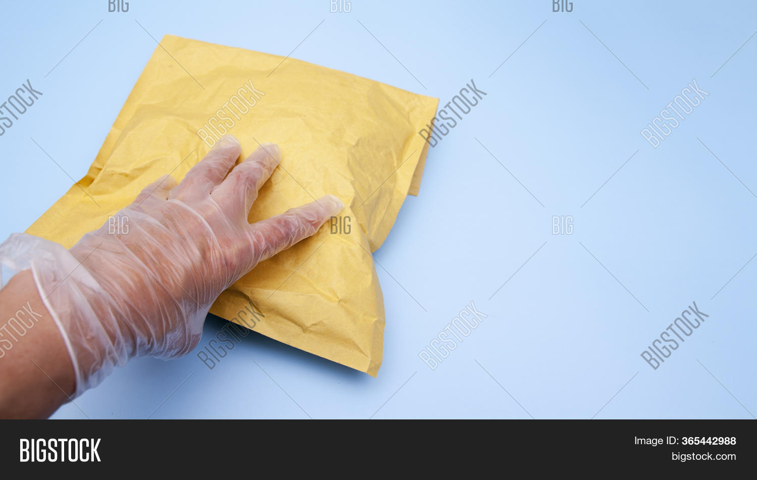 Gloved Hand Holds Image & Photo (Free Trial) | Bigstock