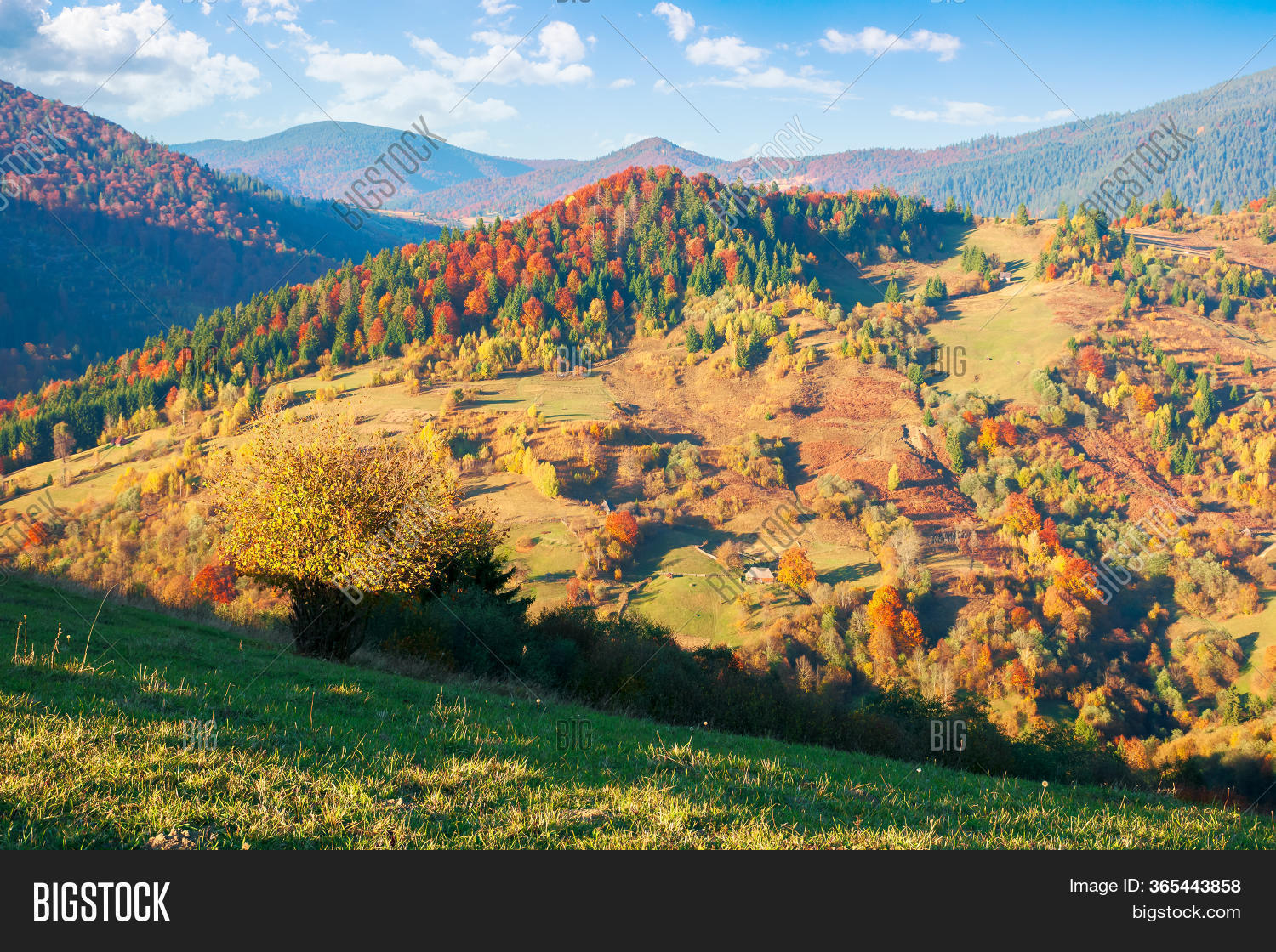 Countryside Autumn Image & Photo (Free Trial) | Bigstock