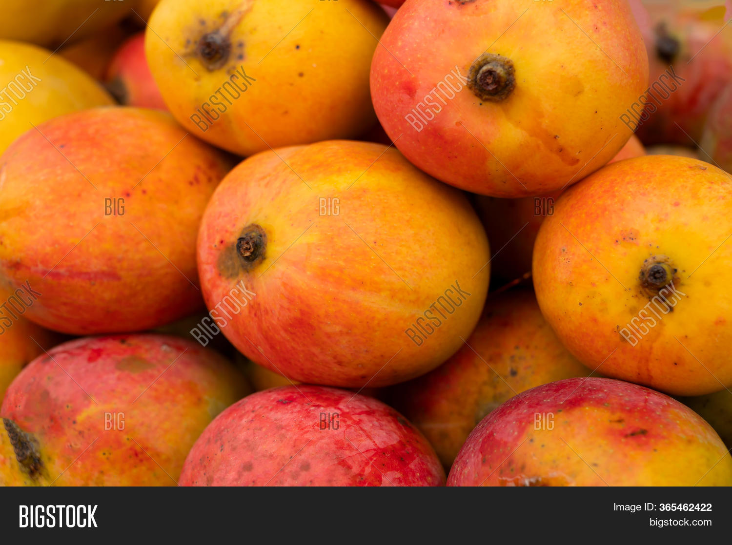 Mangos, Juicy Stone Image & Photo (Free Trial) | Bigstock