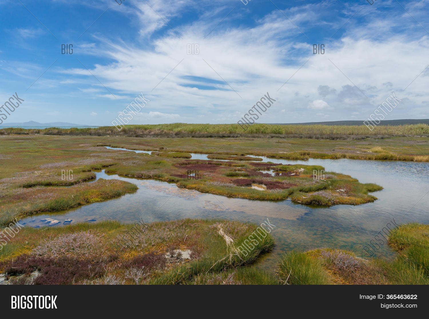 Wetlands Landscape Image & Photo (Free Trial) | Bigstock