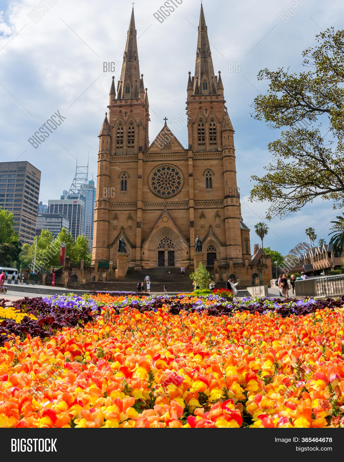 Sydney, Australia - Image & Photo (Free Trial) | Bigstock