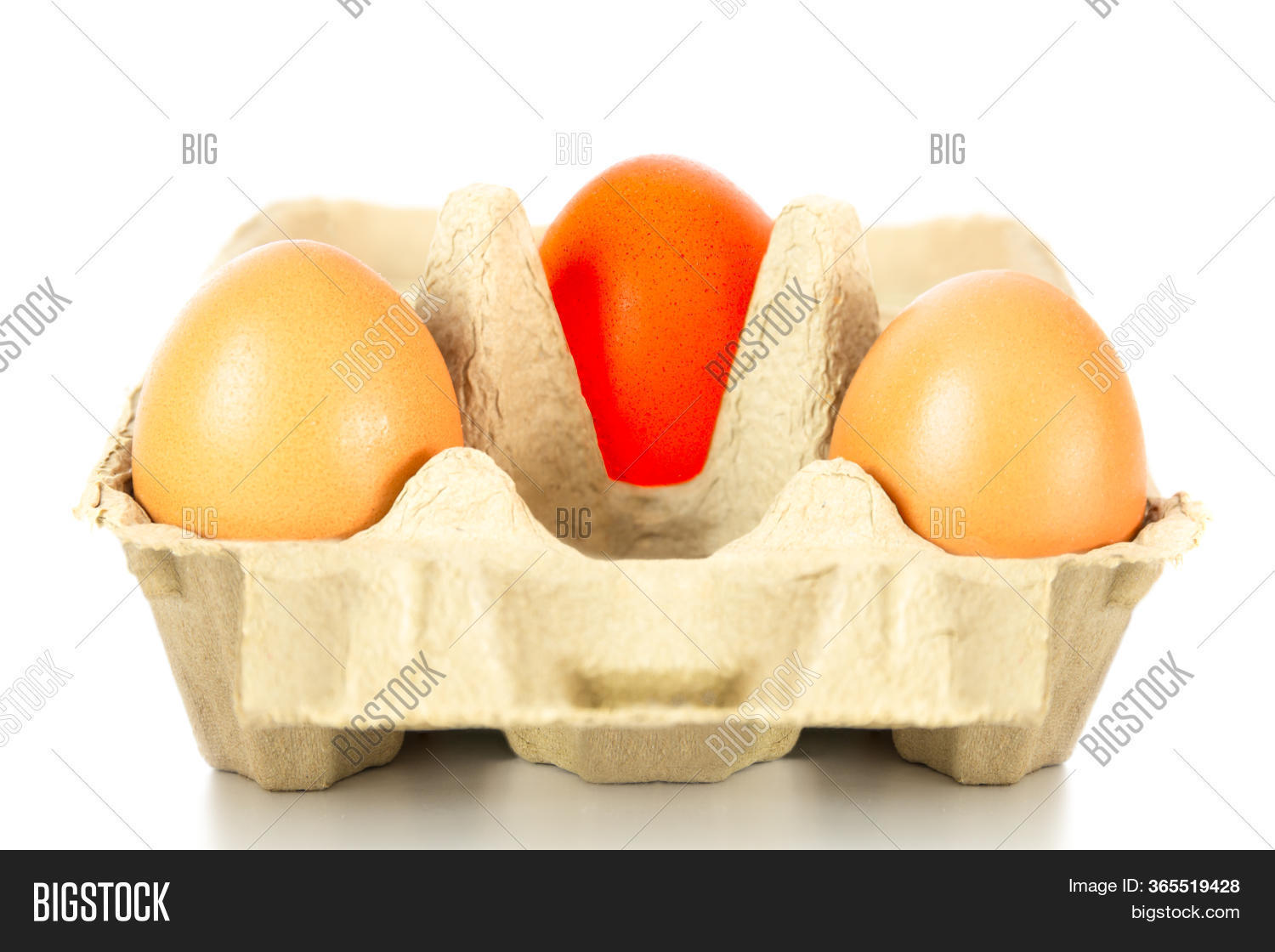 Eggs Carton Isolated Image & Photo (Free Trial) | Bigstock