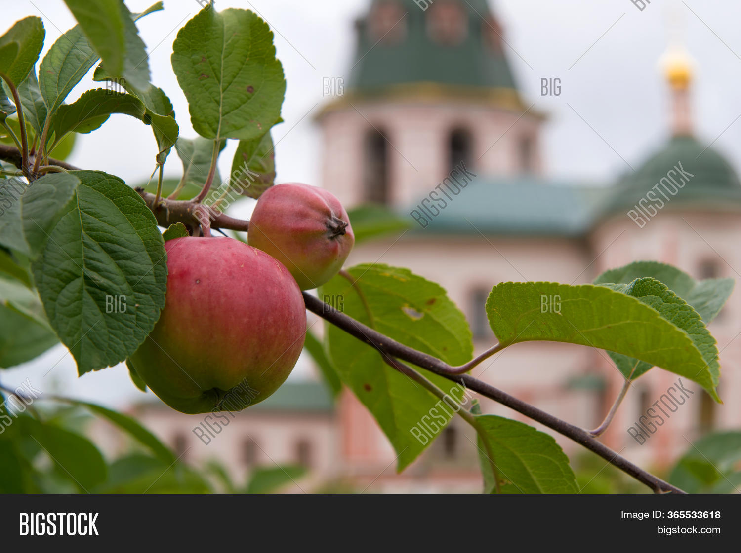 Apples Monastery Image & Photo (Free Trial) | Bigstock