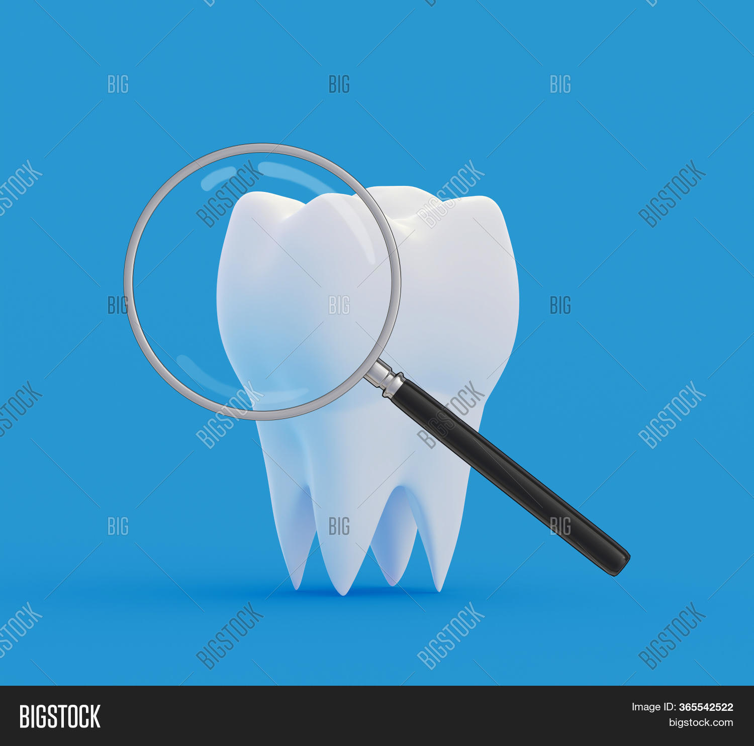 Tooth Under Magnifying Image & Photo (Free Trial) | Bigstock