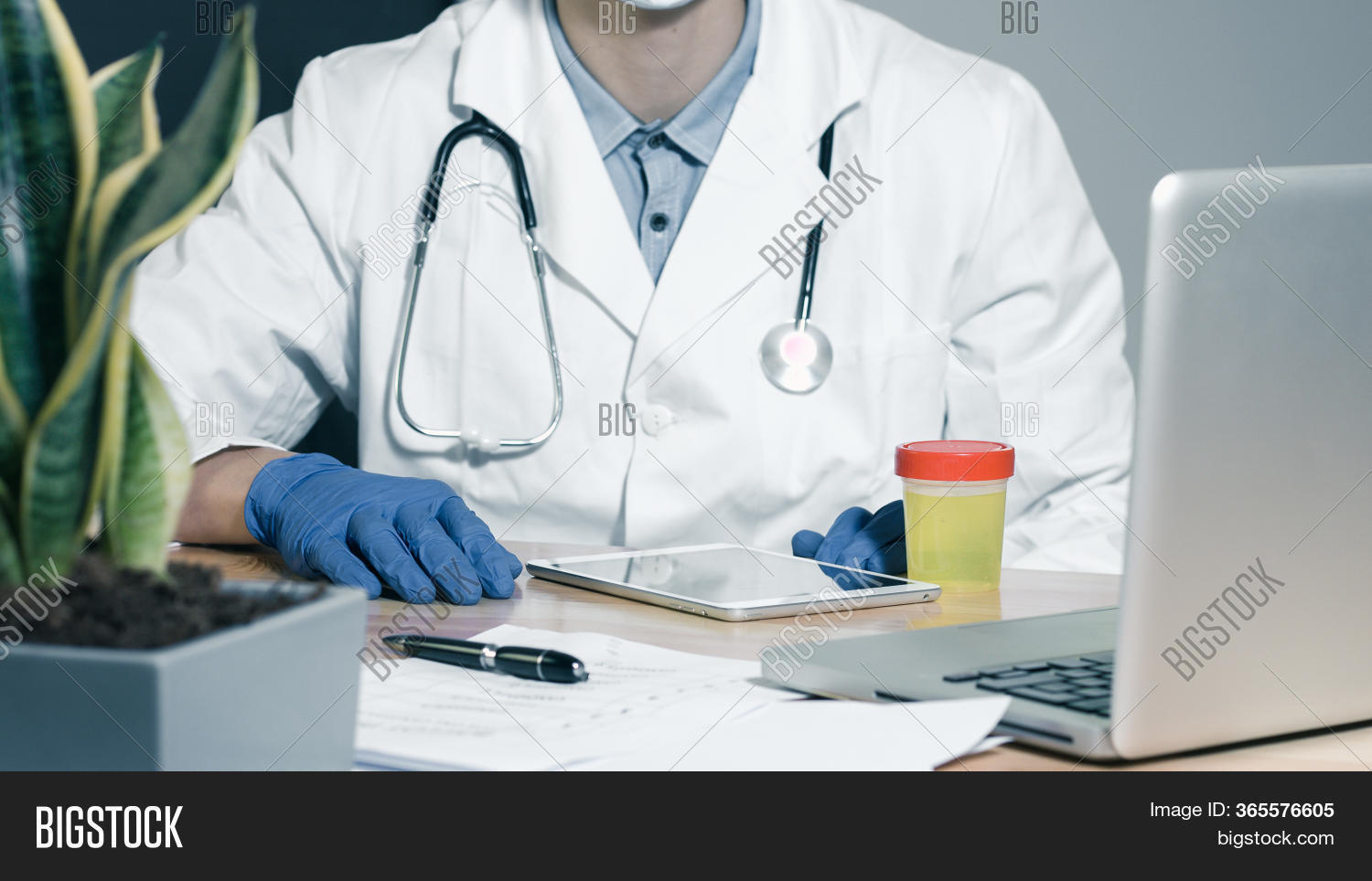 Doctor Testing Urine Image & Photo (Free Trial) | Bigstock