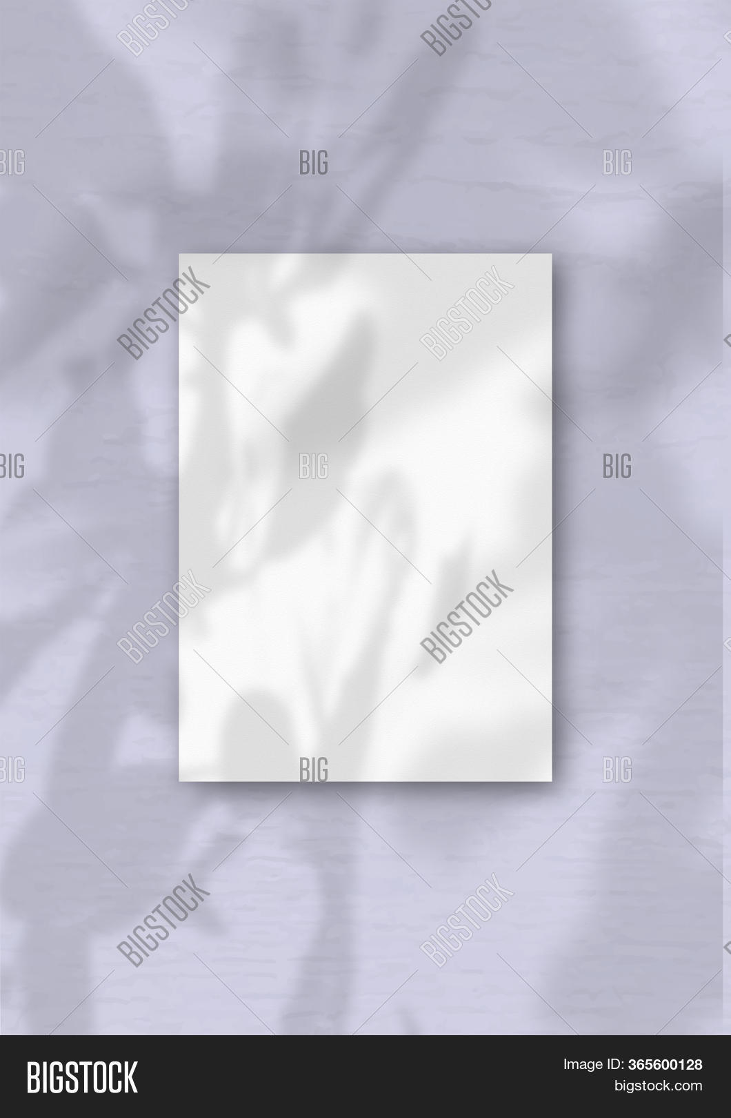Vertical A4 Sheet Image & Photo (Free Trial) | Bigstock