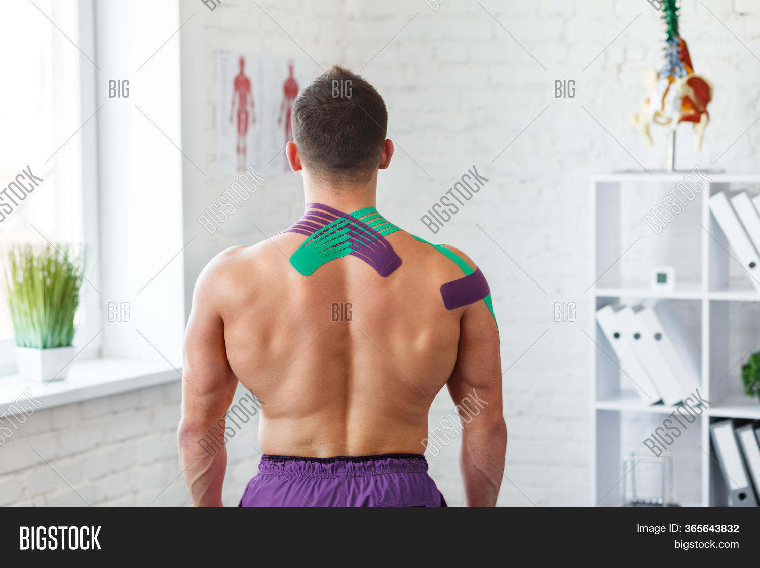 Kinesiology Taping. Image & Photo (Free Trial) | Bigstock