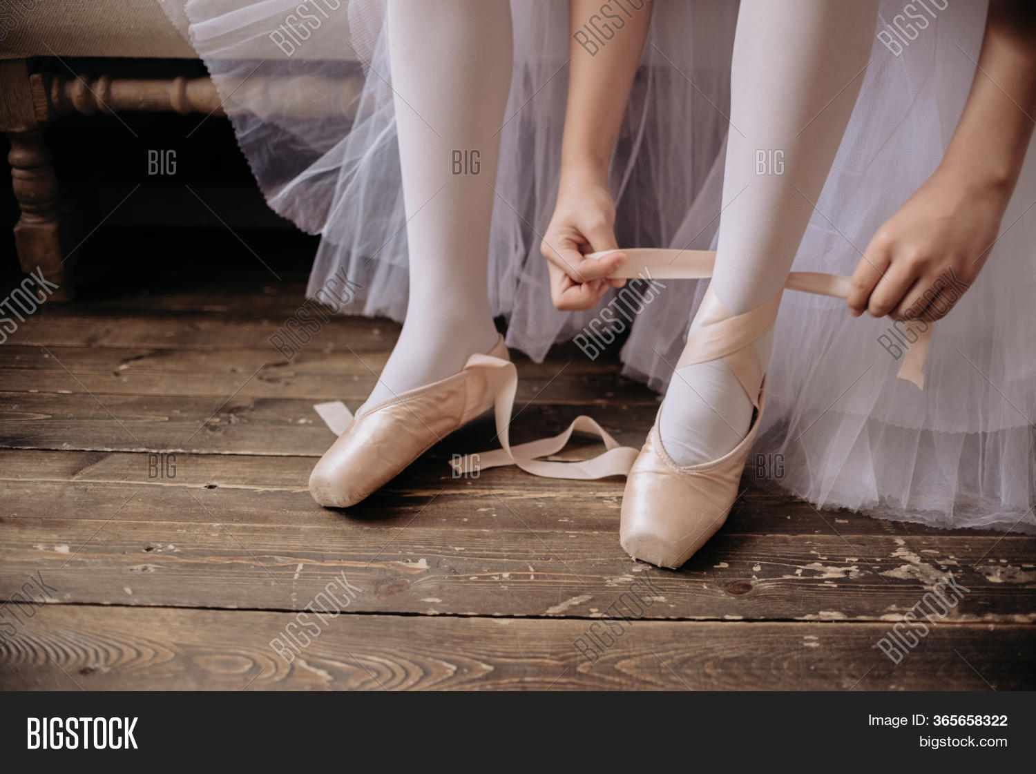 Ballet Dancer's Feet Image & Photo (Free Trial) | Bigstock