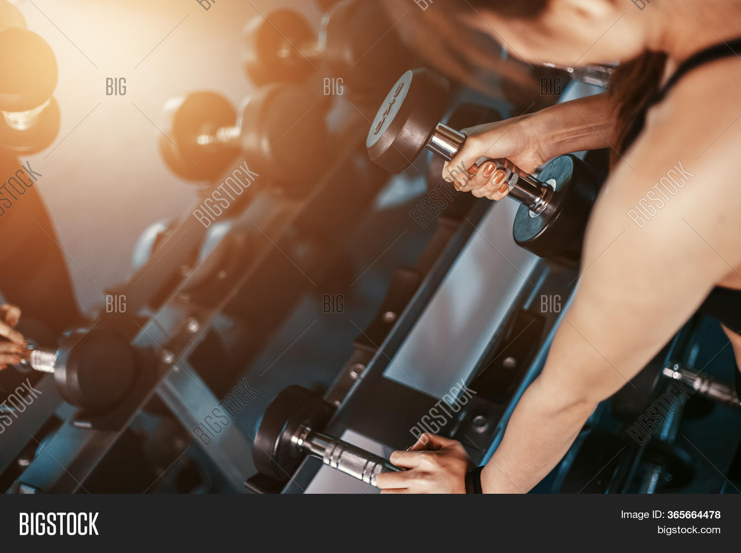 Women Hands Lifting Image & Photo (Free Trial) | Bigstock