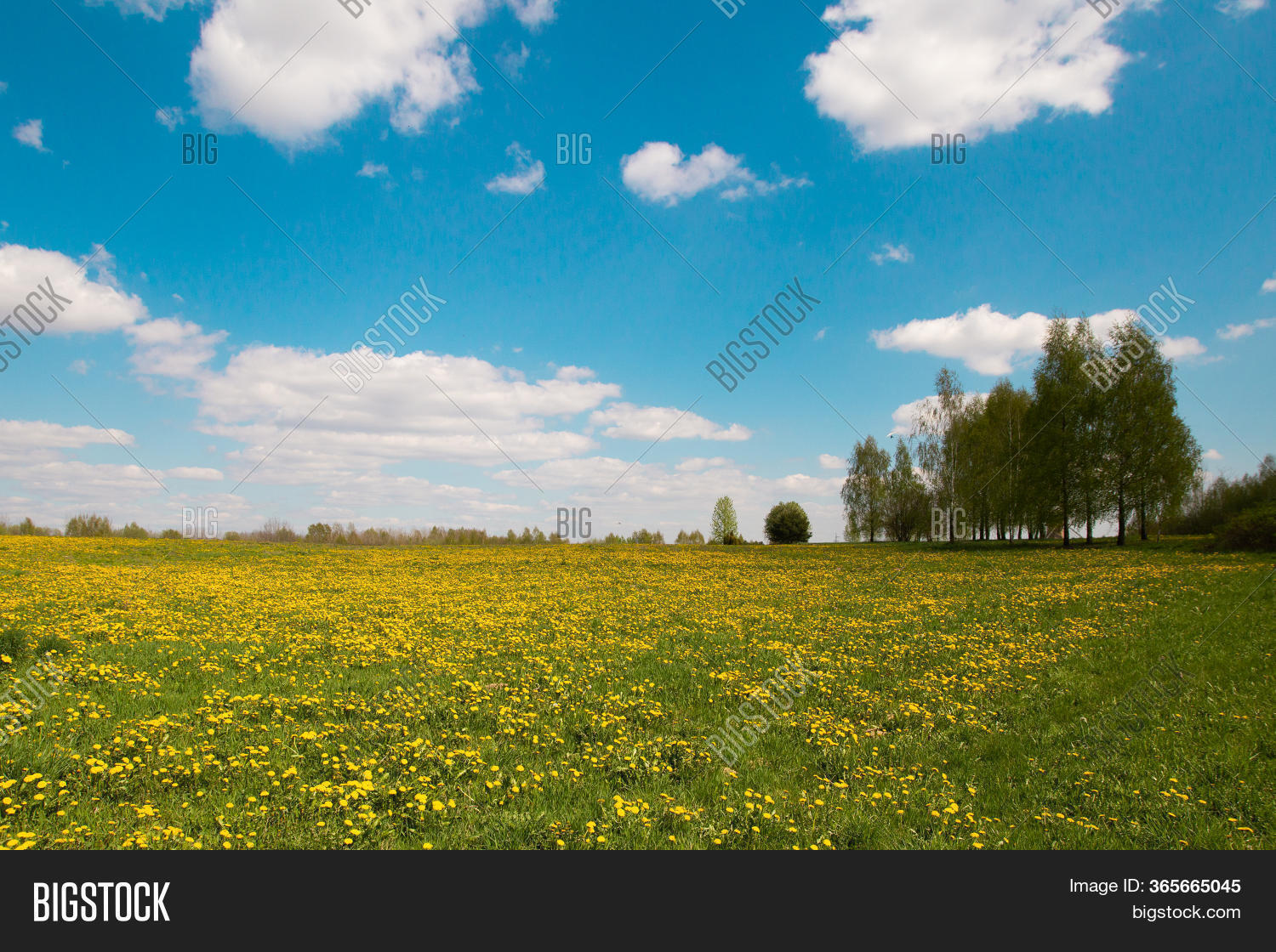 Pleasant Sunny Summer Image & Photo (Free Trial) | Bigstock