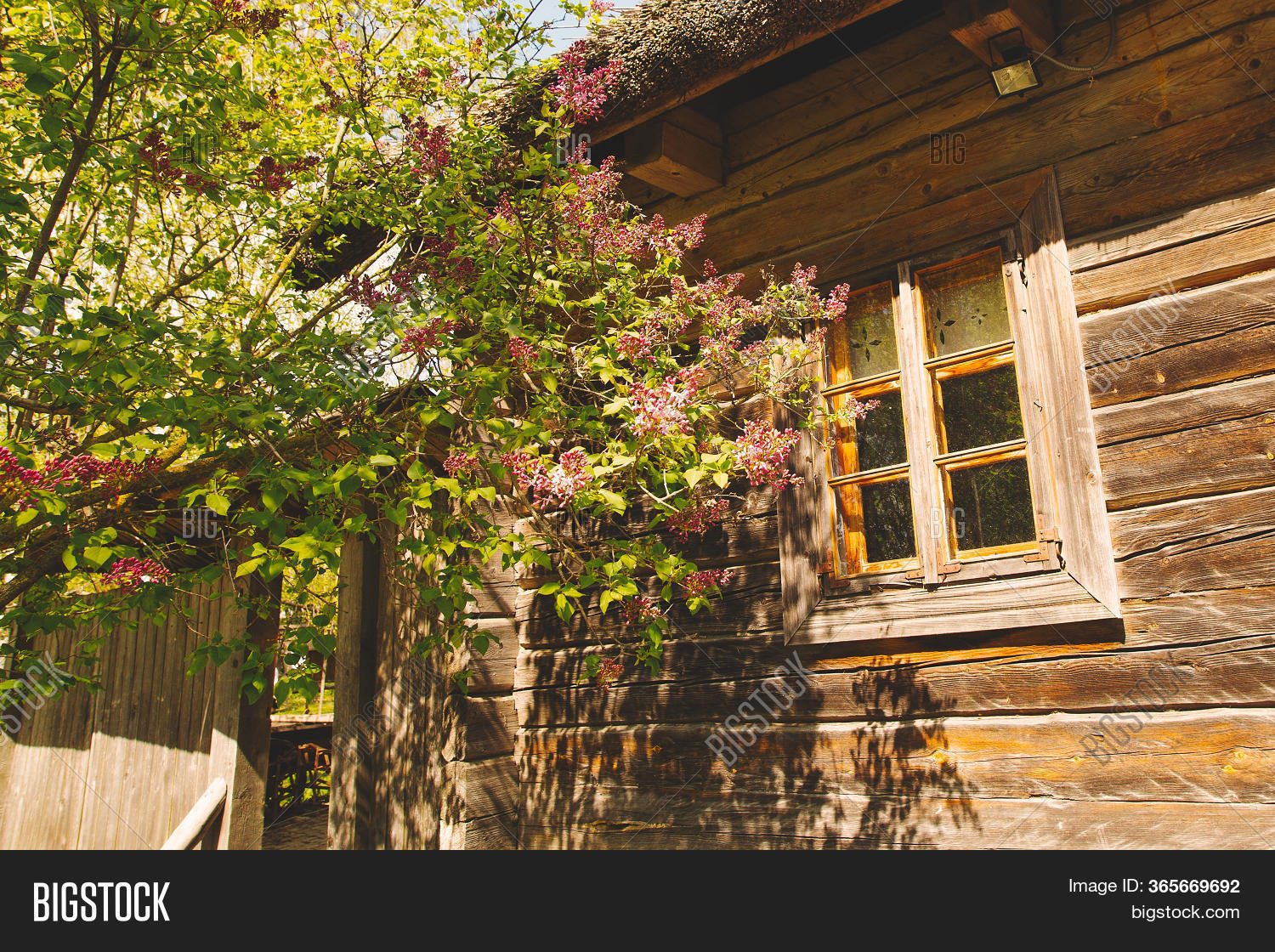 Old Rustic Wooden Image & Photo (Free Trial) | Bigstock