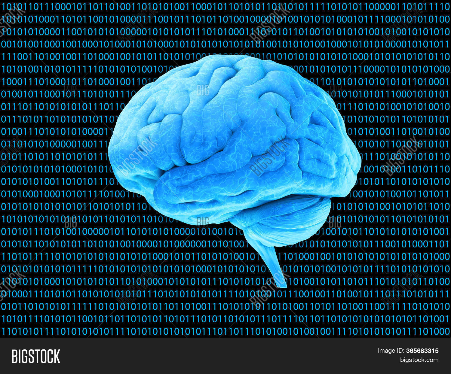 Digital Brain System, Image & Photo (Free Trial) | Bigstock