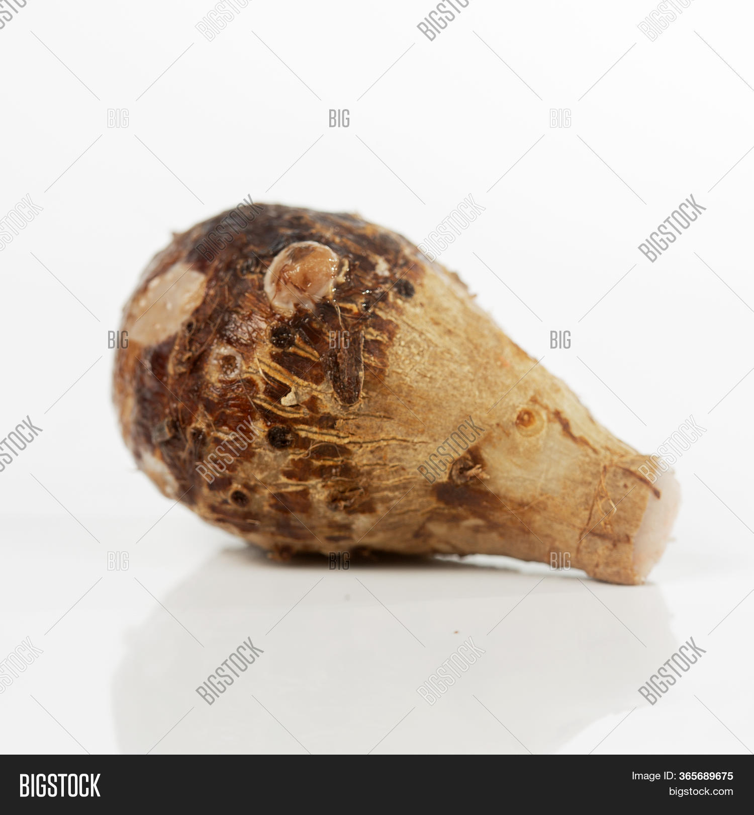 Satoimo, Sweet Taros Image & Photo (Free Trial) | Bigstock
