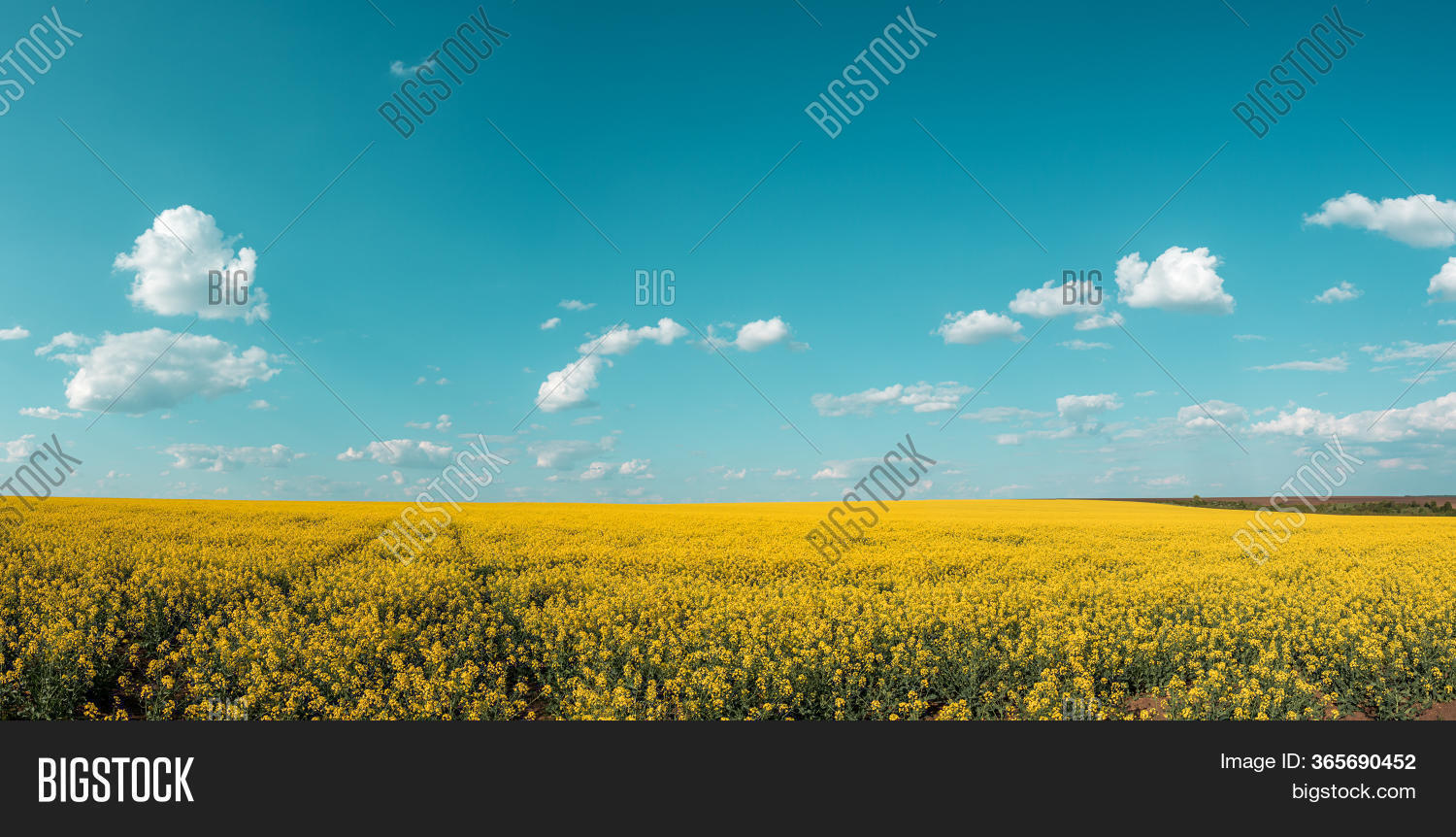 Fertile Agricultural Image & Photo (Free Trial) | Bigstock