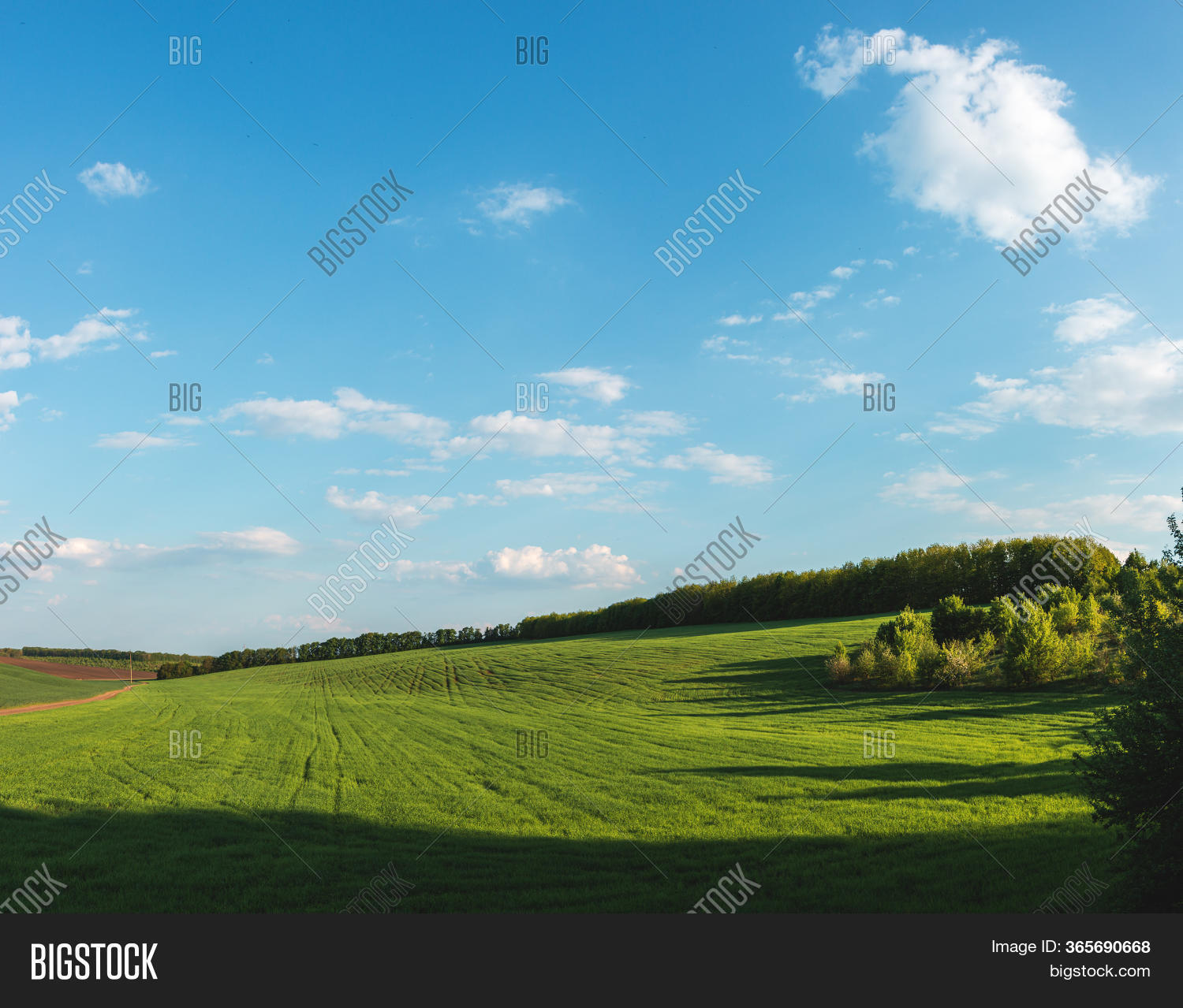 Fertile Agricultural Image & Photo (Free Trial) | Bigstock