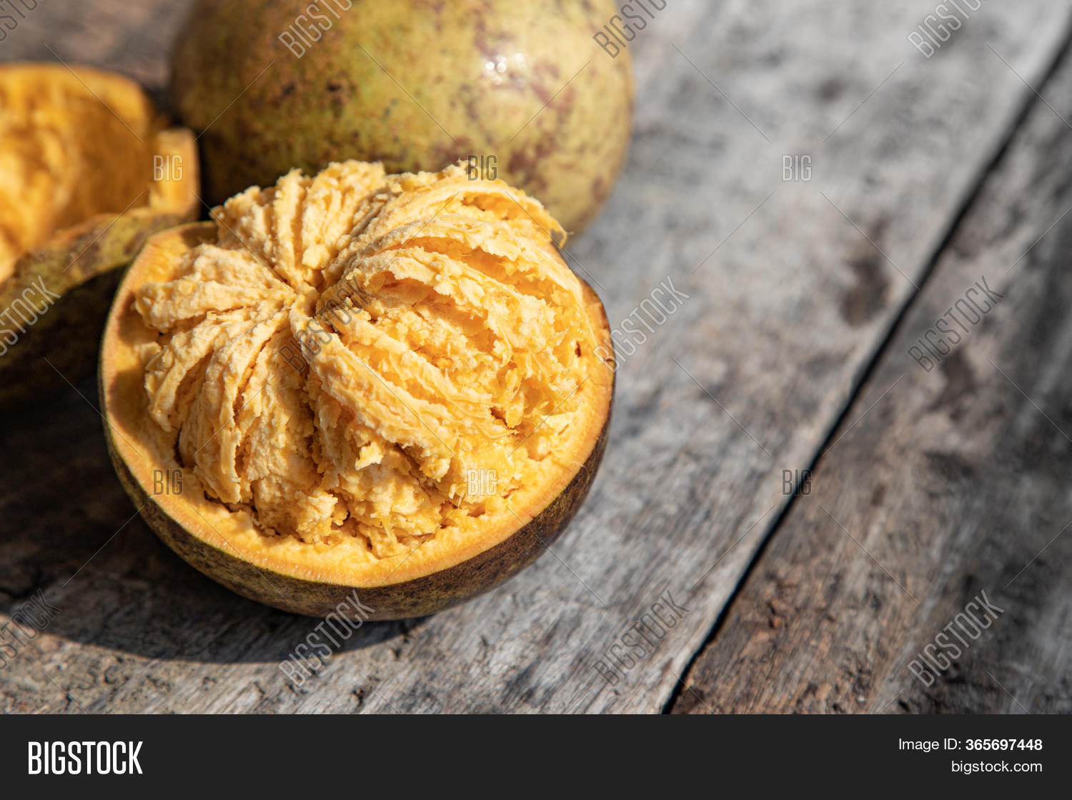 Exotic Indian Bel Image & Photo (Free Trial) | Bigstock