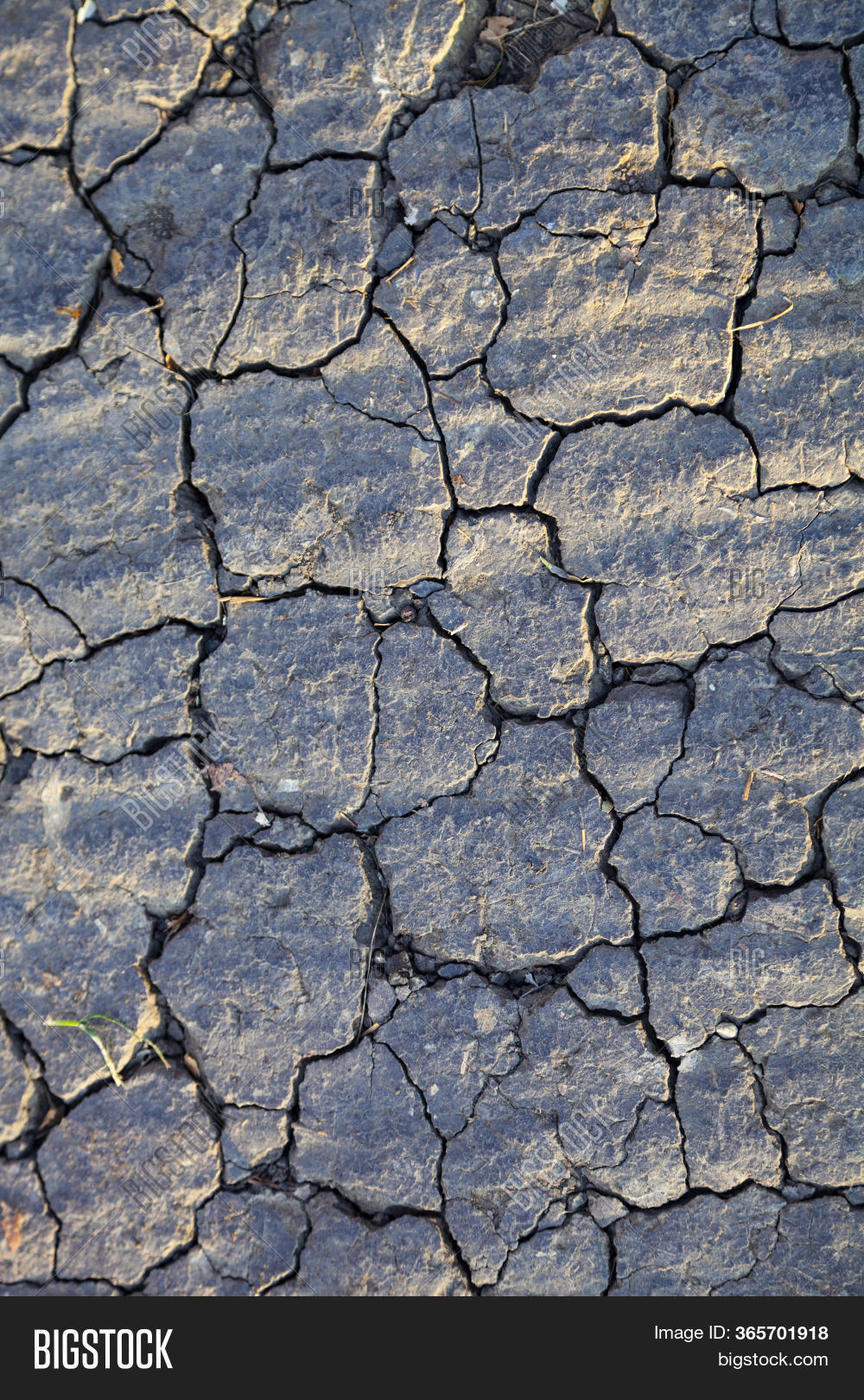 Dry Gray Ground Close Image & Photo (Free Trial) | Bigstock