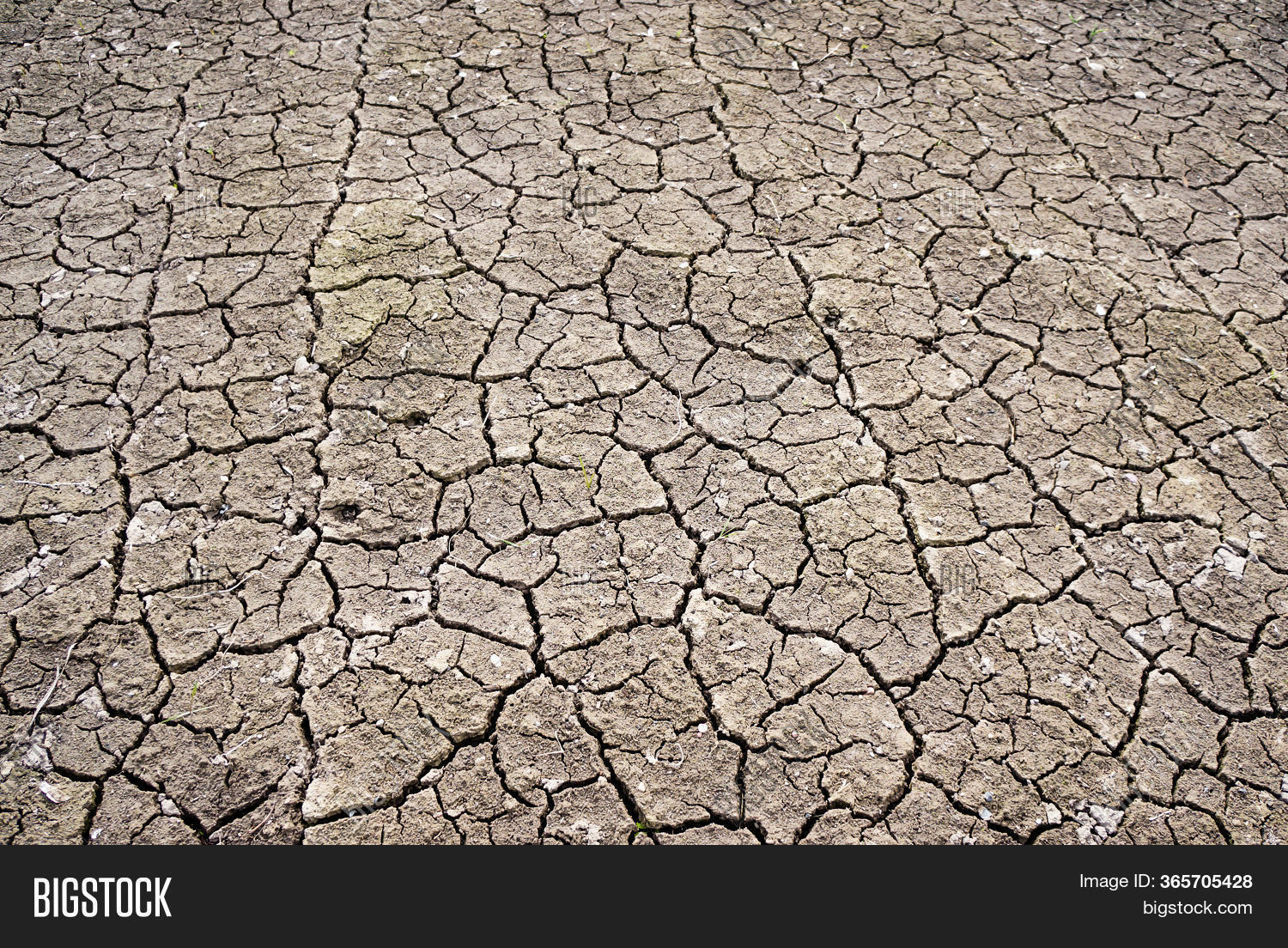 Dry Land Texture Image & Photo (Free Trial) | Bigstock
