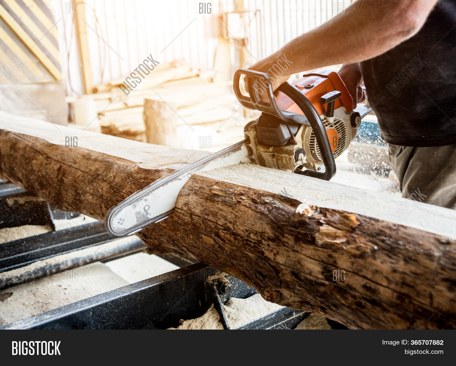 Woodcutter Cutting Image & Photo (Free Trial) | Bigstock