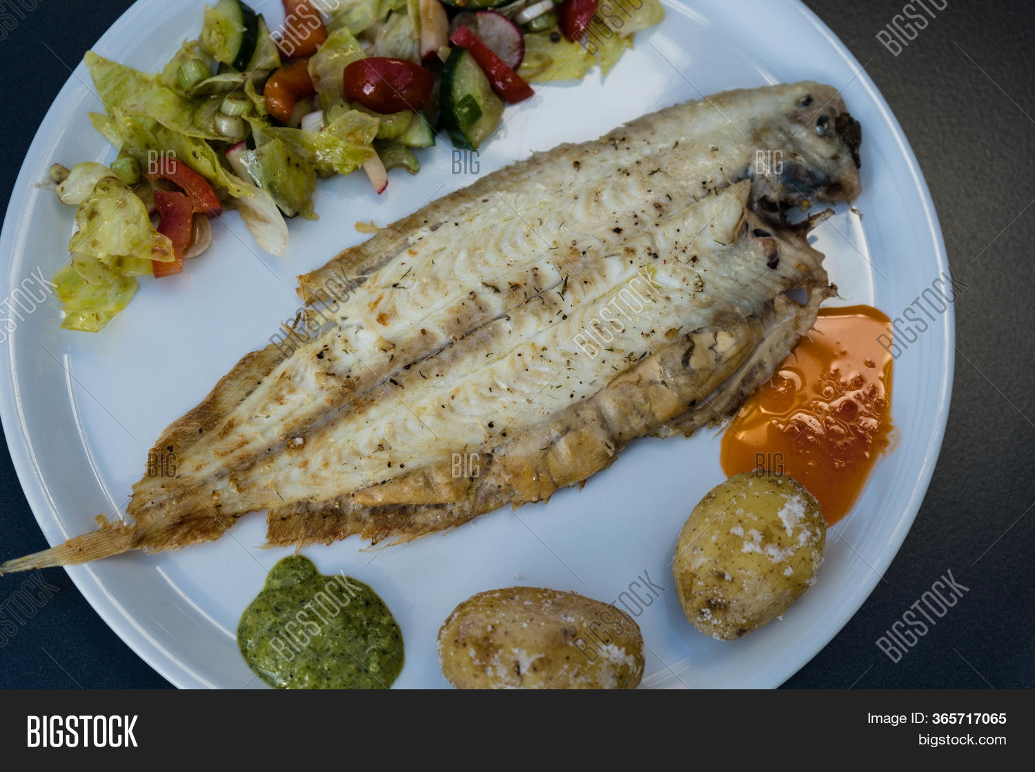 Saltwater Sole Image & Photo (Free Trial) | Bigstock