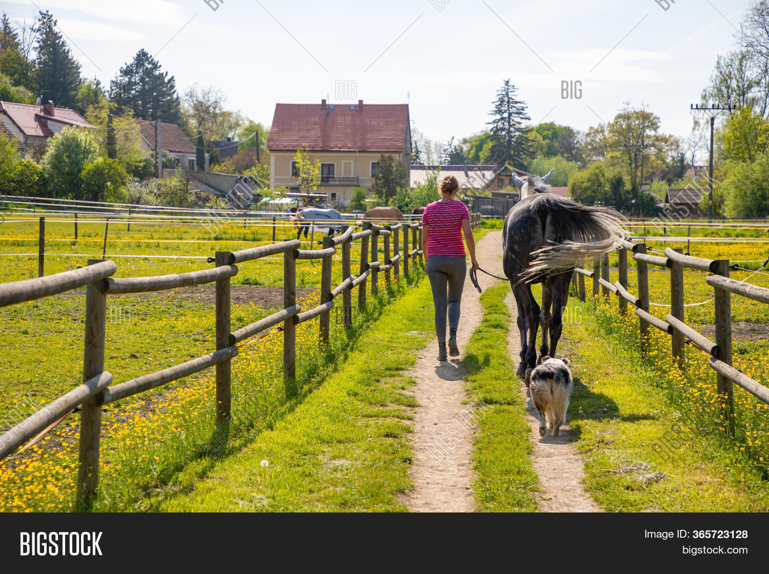 Beautiful Countryside Image & Photo (Free Trial) | Bigstock