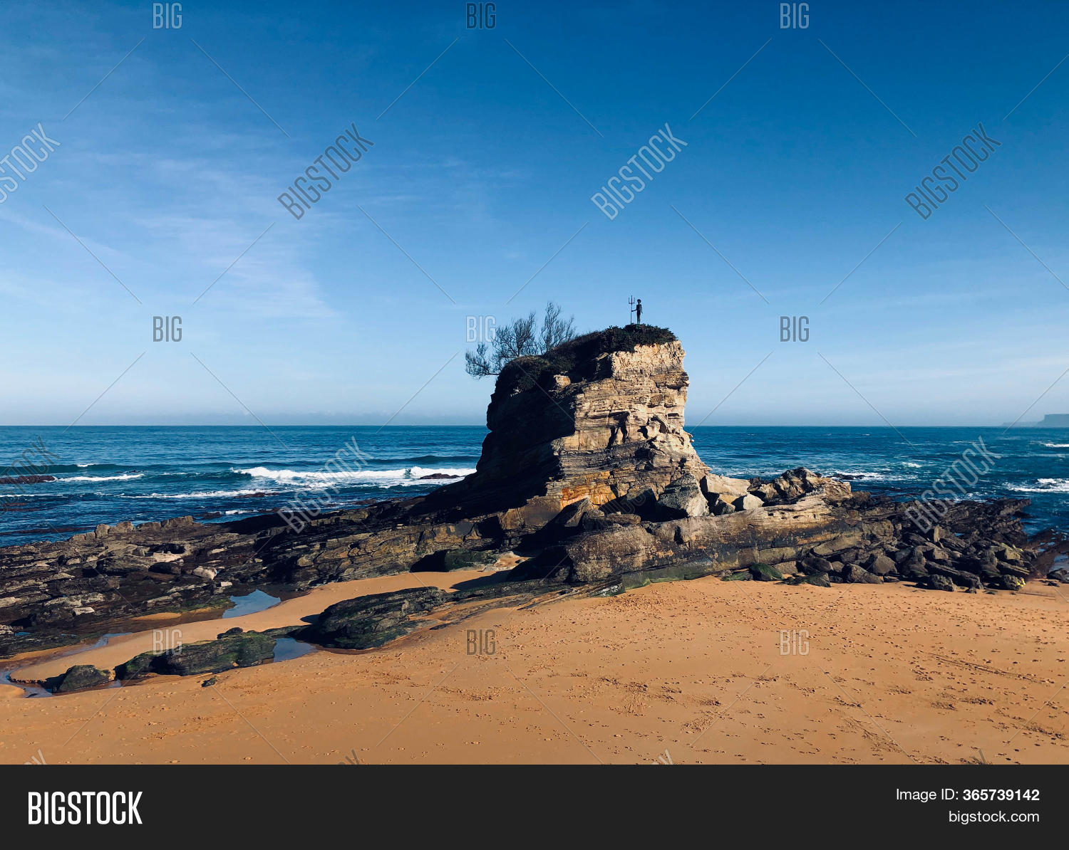 Camel Beach Fabulous Image & Photo (Free Trial) | Bigstock