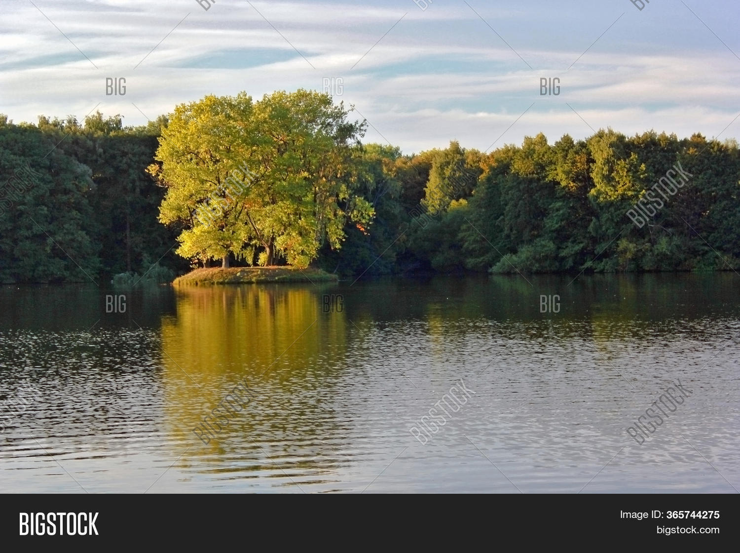 Beautiful Tree On Image & Photo (Free Trial) | Bigstock