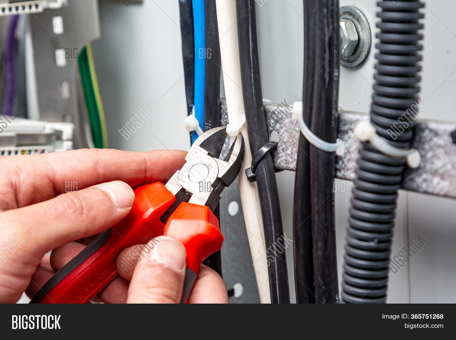 Hands Wire Cutters Cut Image & Photo (Free Trial) | Bigstock