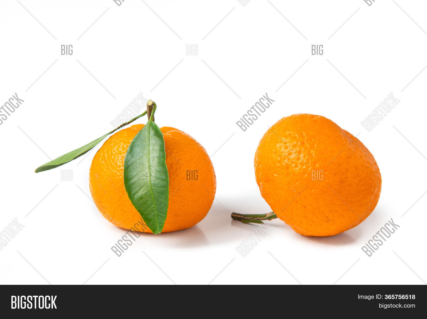 Two Tangerines Leaf On Image & Photo (Free Trial) | Bigstock