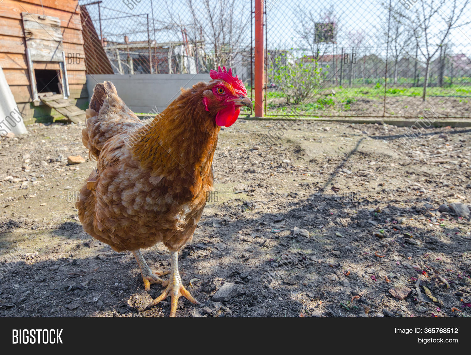 Beautiful Colorful Image & Photo (Free Trial) | Bigstock