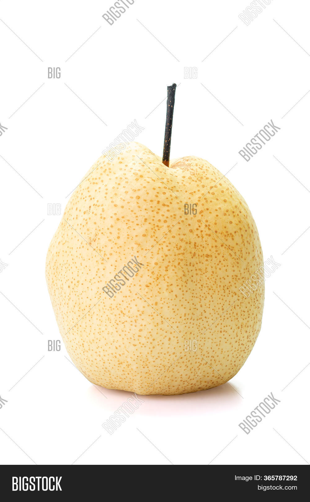 Chinese Pear Korean Image & Photo (Free Trial) | Bigstock