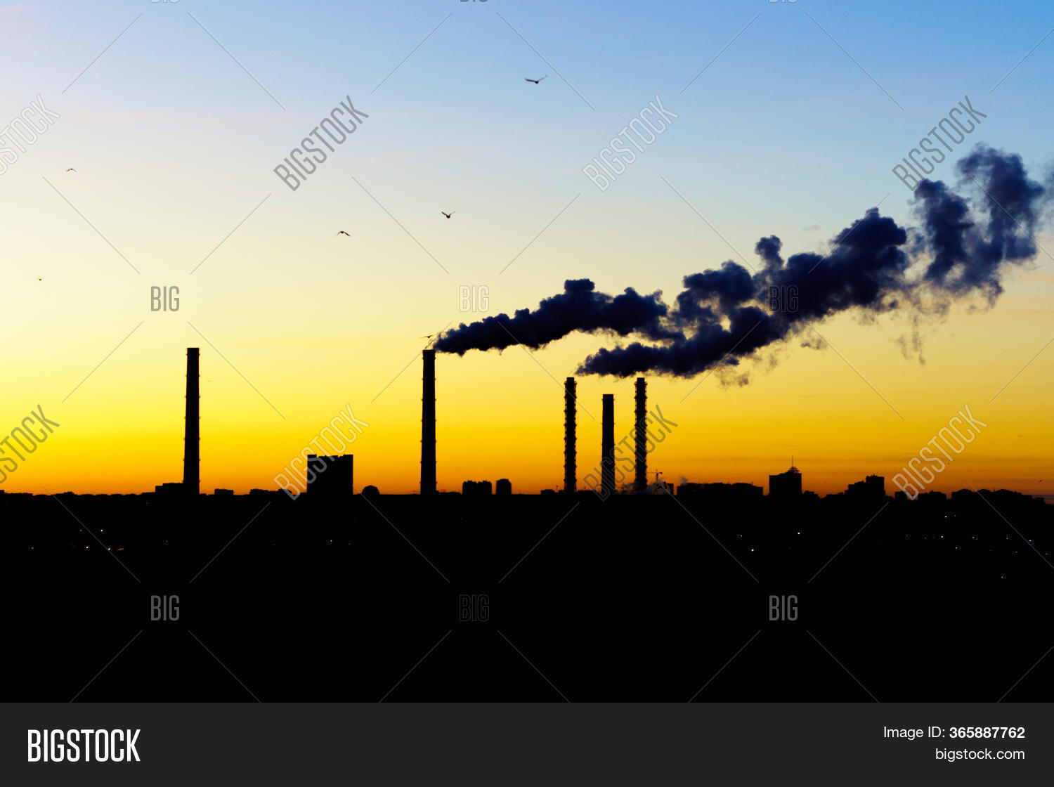 Big Thick Smoke Big Image & Photo (Free Trial) | Bigstock