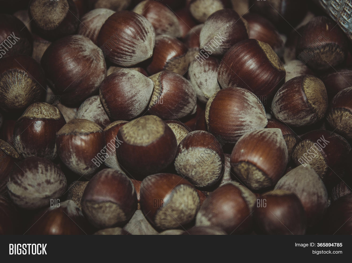 Large Bag Dry Forest Image & Photo (Free Trial) | Bigstock