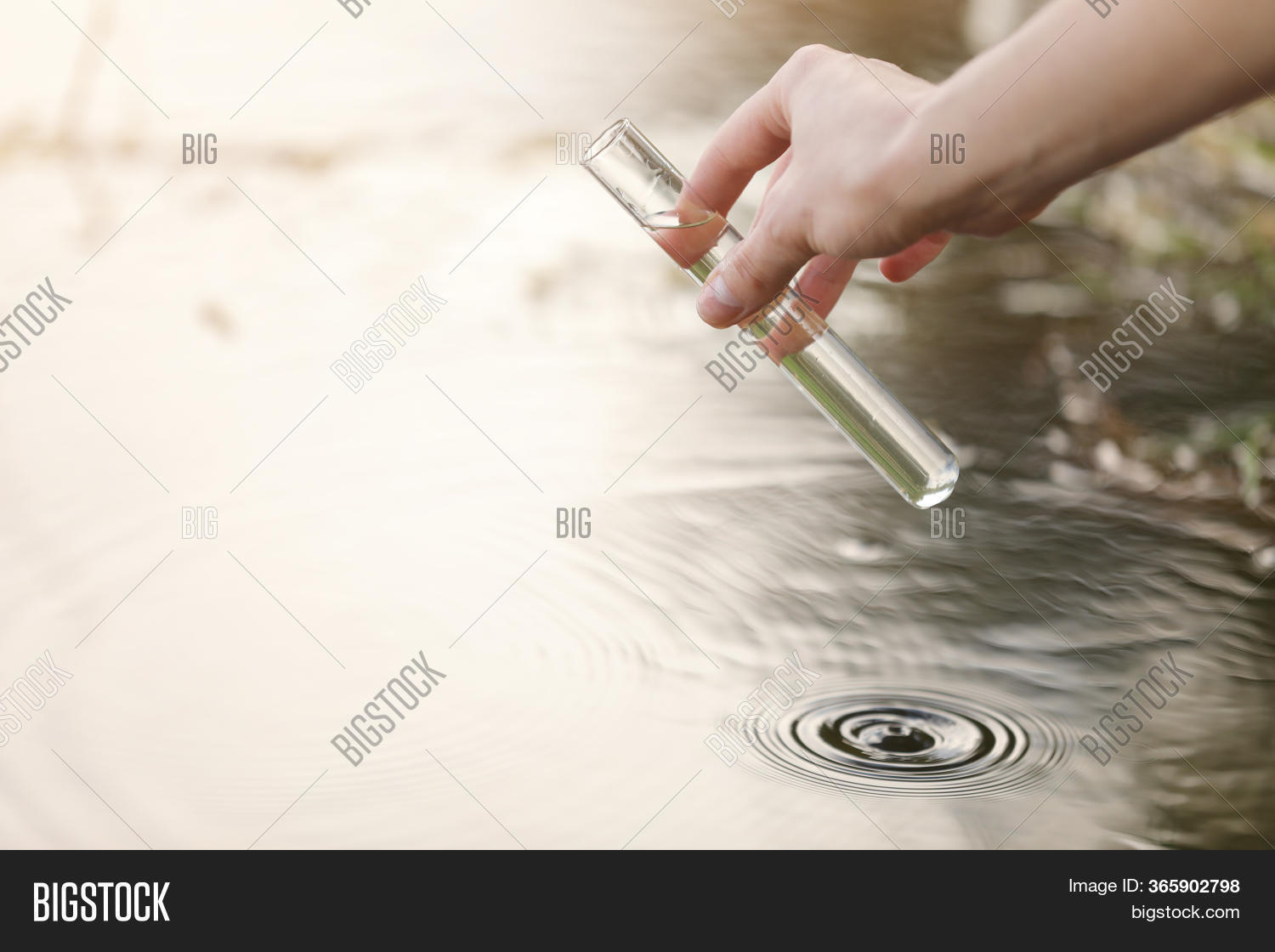 Pond Water Pollution Image & Photo (Free Trial) | Bigstock