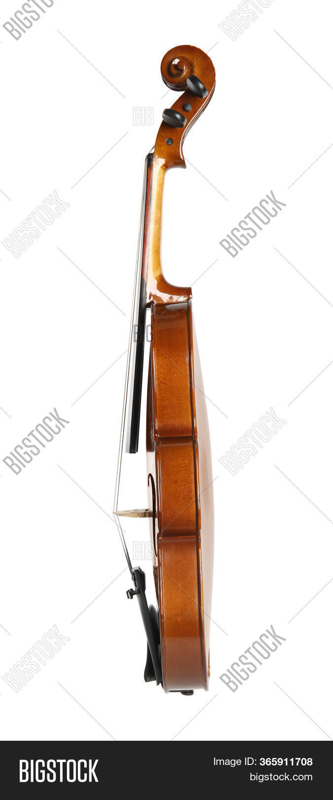 Classic Violin Image & Photo (Free Trial) | Bigstock