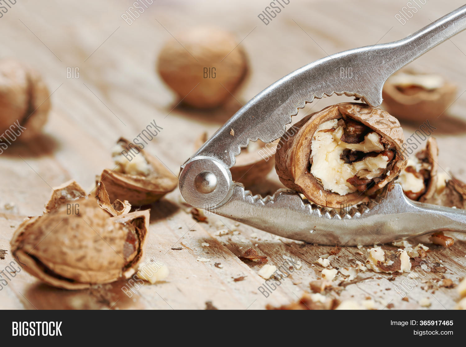 Walnuts Cracker On Image & Photo (Free Trial) | Bigstock
