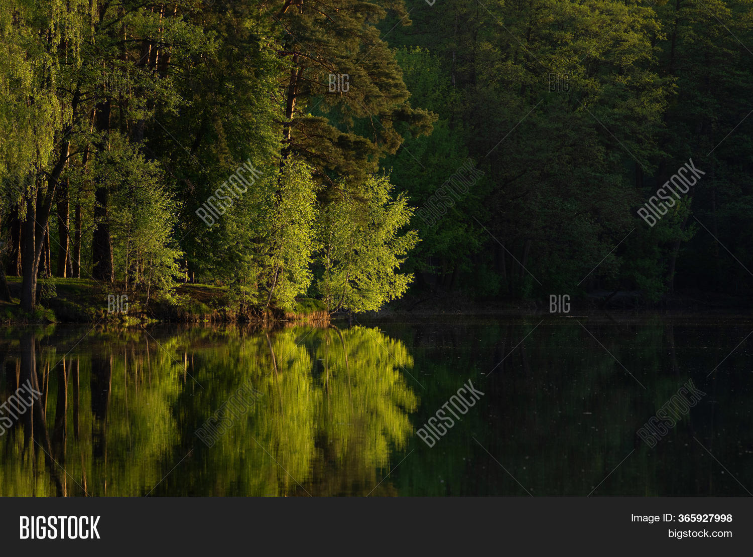 Magnificent Sunrise Image & Photo (Free Trial) | Bigstock
