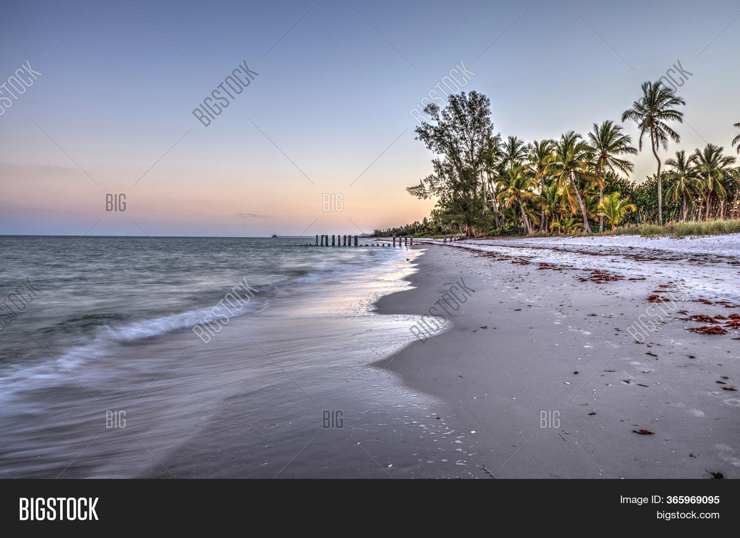 Shoreline Port Royal Image & Photo (Free Trial) | Bigstock