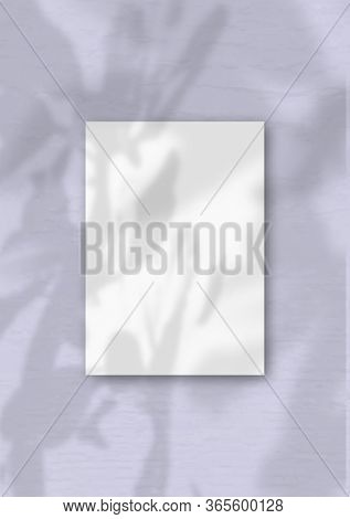 Vertical A4 Sheet Image & Photo (Free Trial) | Bigstock