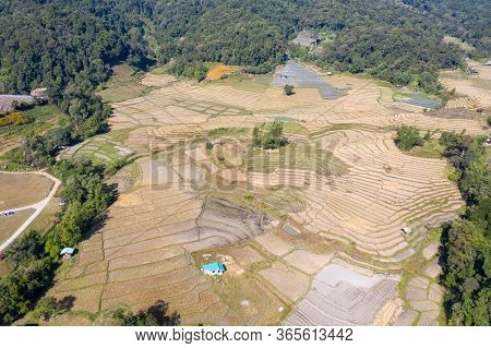 Terraced Rice Field Image & Photo (Free Trial) | Bigstock