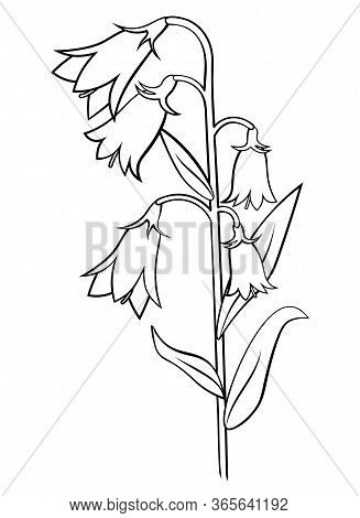 Cartoon Bellflower Vector & Photo (Free Trial) | Bigstock