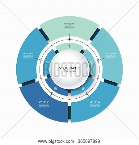 Infographic Circular Vektörü (Ücretsiz Deneme) | Bigstock