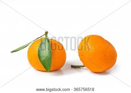 Two Tangerines Leaf On Image & Photo (Free Trial) | Bigstock