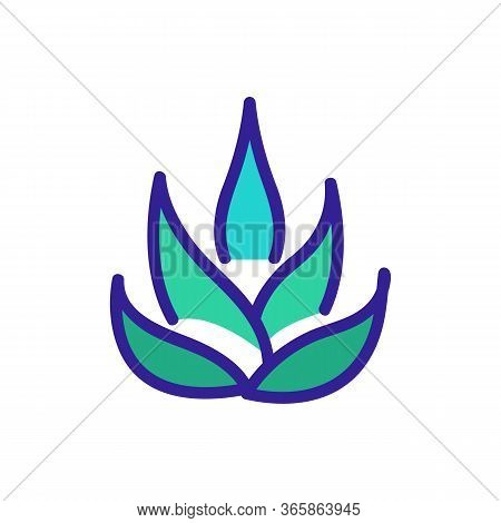 Agave Plant Icon Vector & Photo (Free Trial) | Bigstock