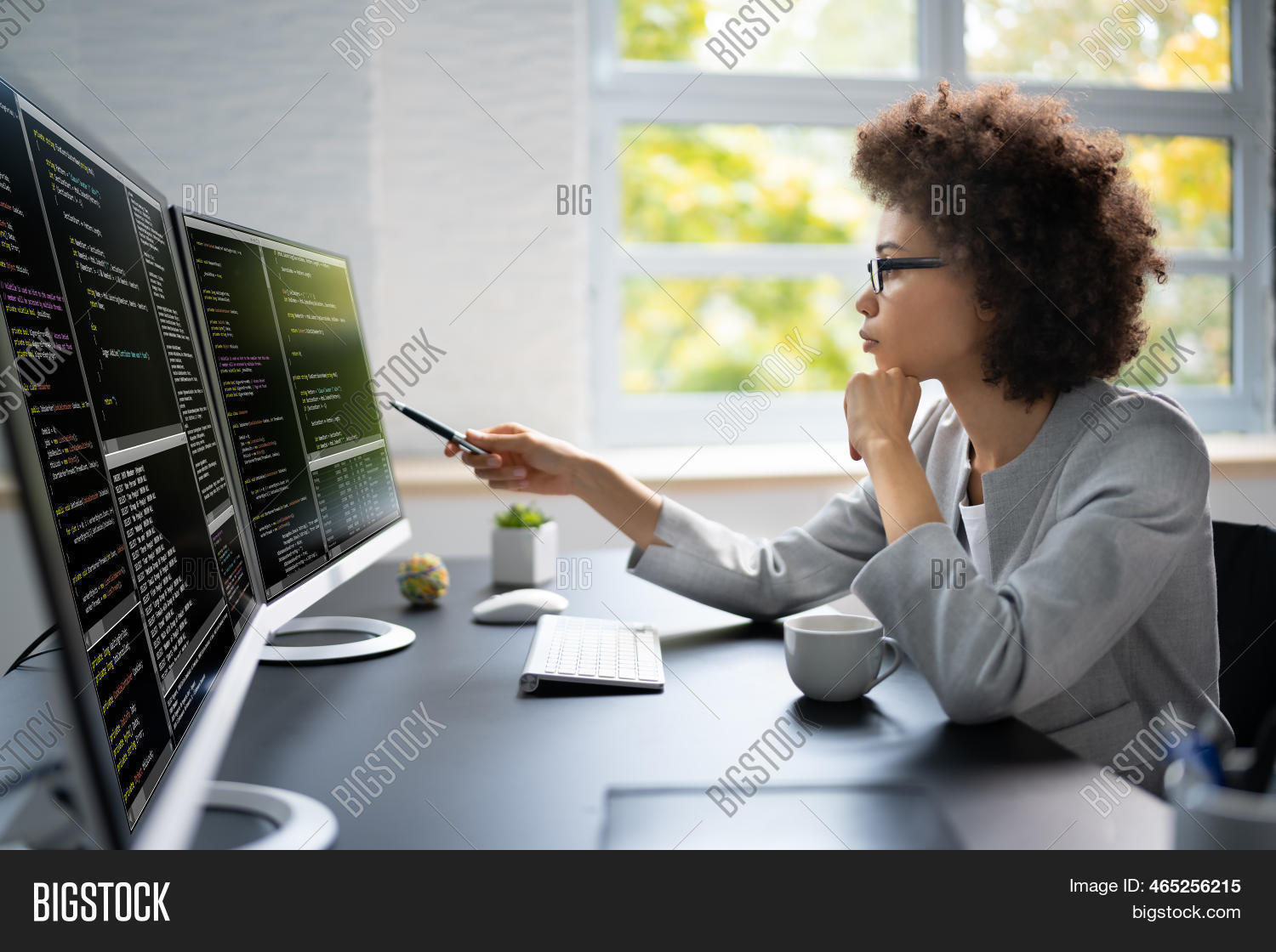 Software Programmer Image & Photo (Free Trial) | Bigstock