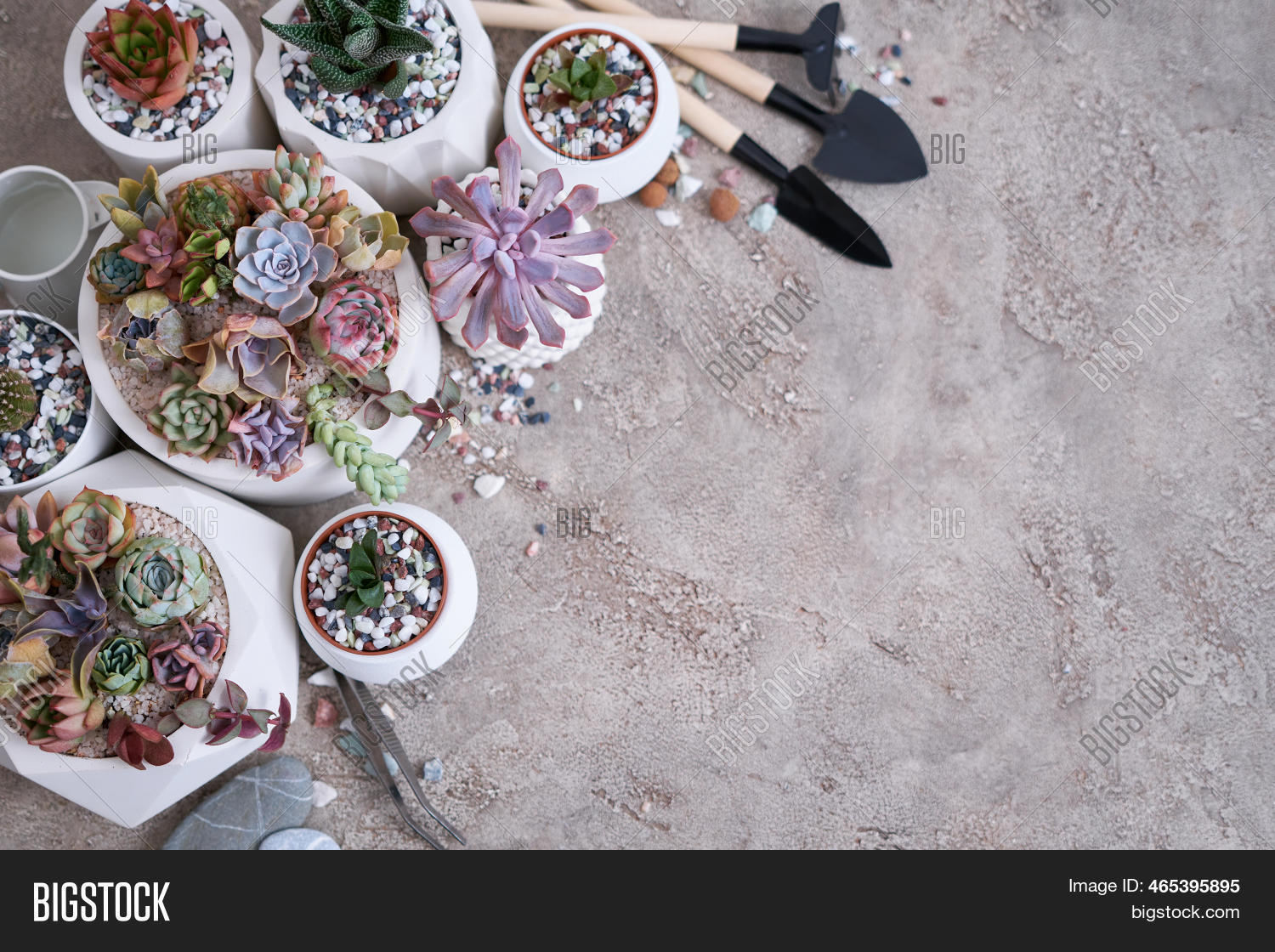 Pots Groups Image & Photo (Free Trial) | Bigstock