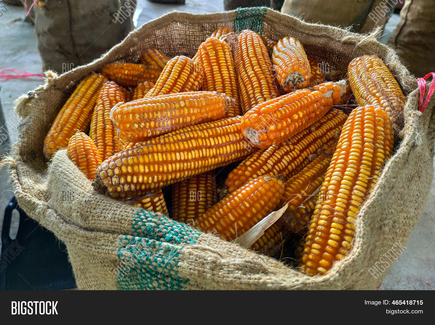 Piles Corn Were Placed Image & Photo (Free Trial) | Bigstock