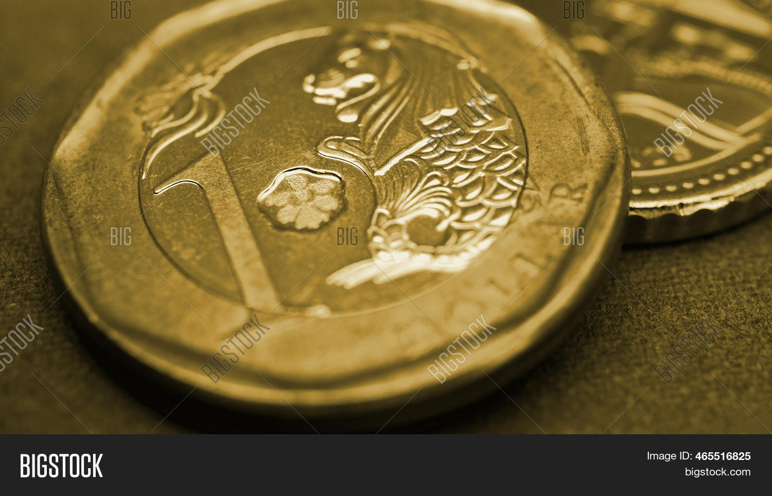 1 Singapore Dollar. Image & Photo (Free Trial) | Bigstock