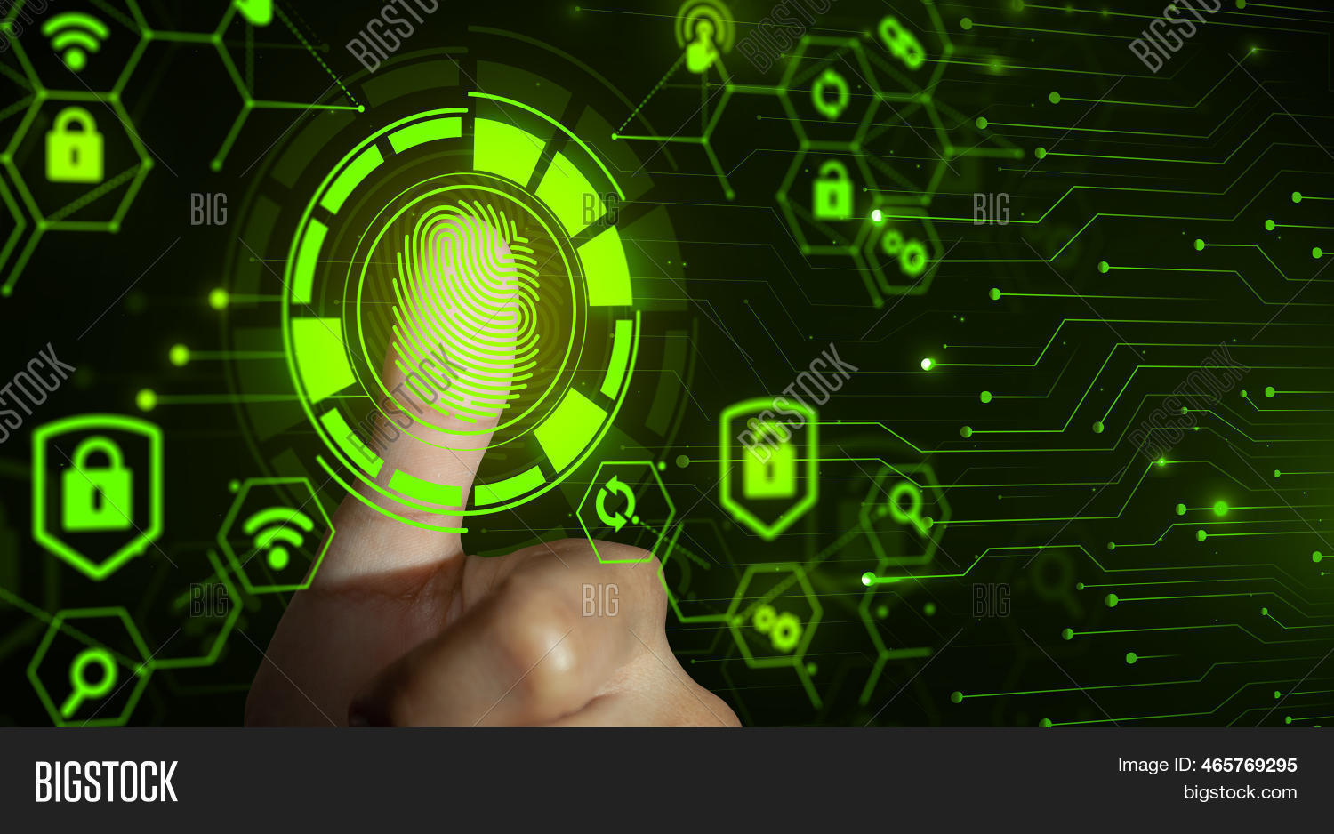 Fingerprint Scan Image & Photo (Free Trial) | Bigstock