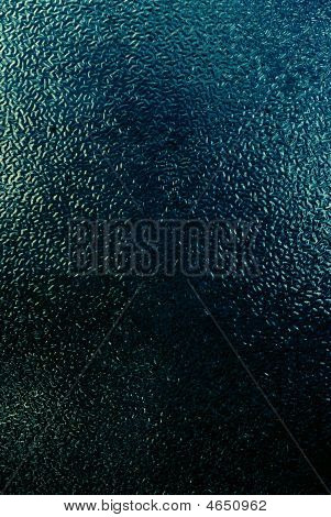 Frosted Glass Image & Photo (Free Trial) | Bigstock